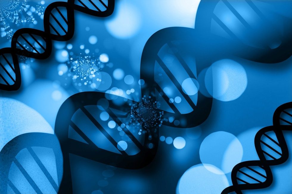 Understanding eDNA decay in aquatic environments - AquaPLAN